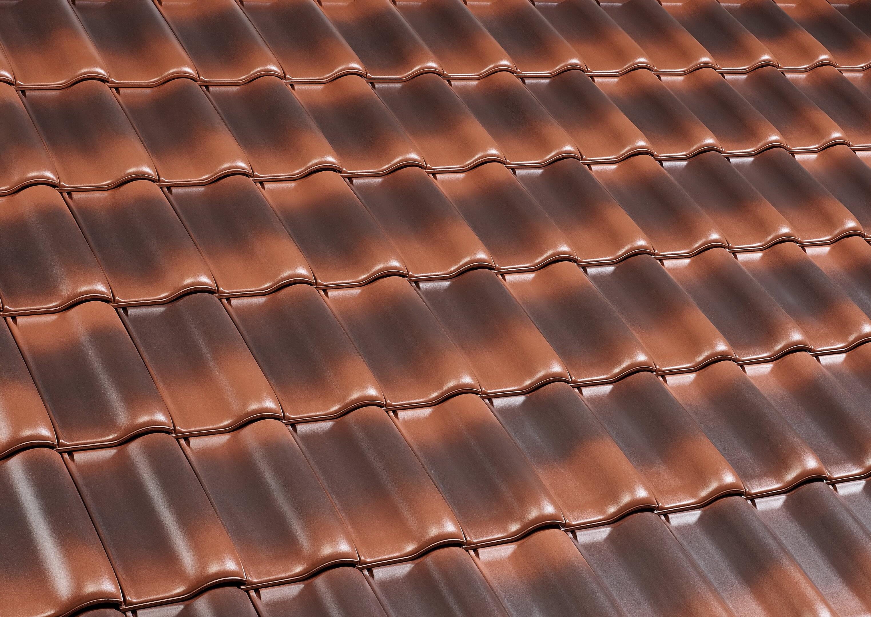 Ergoldsbacher E 58 S